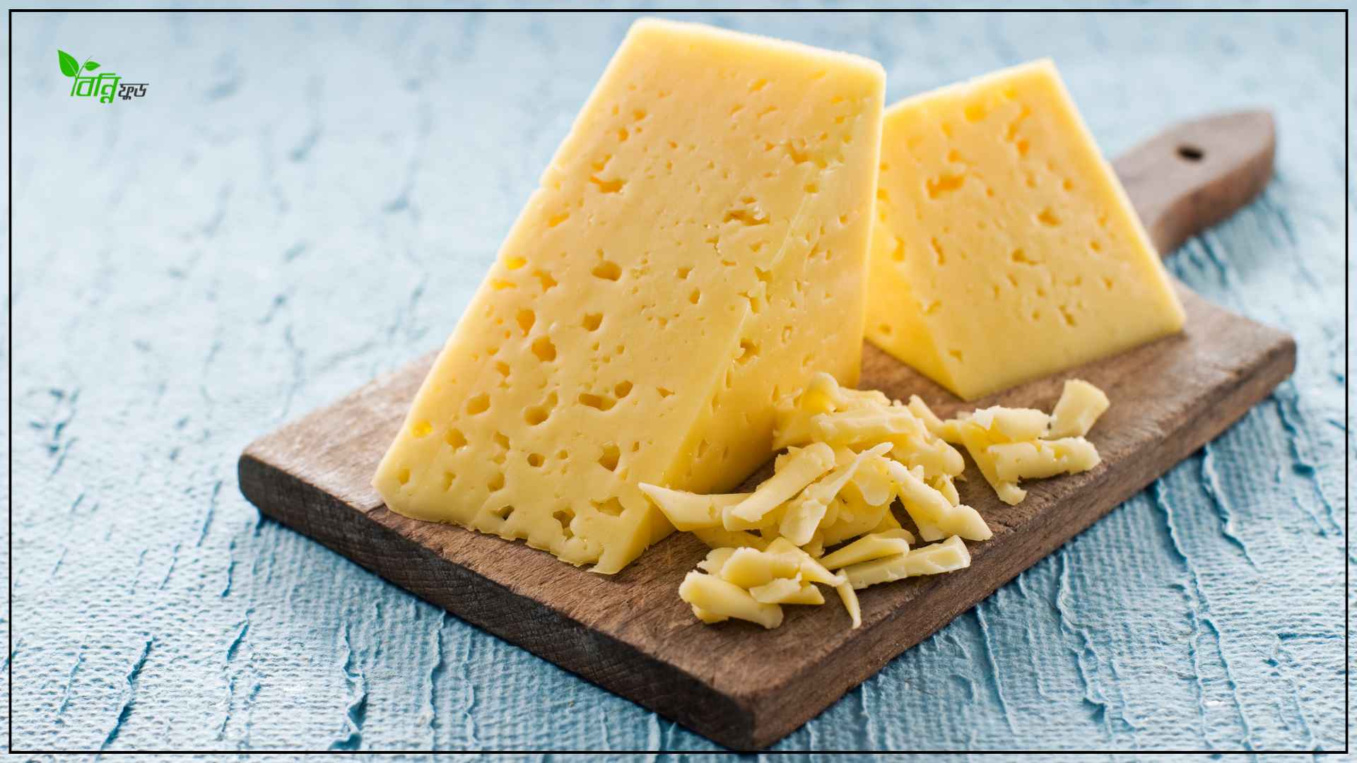 চিজ- আপনি কি জানেন স্বাস্থ্যসম্মত উপায়ে চিজ কীভাবে তৈরি হয়?